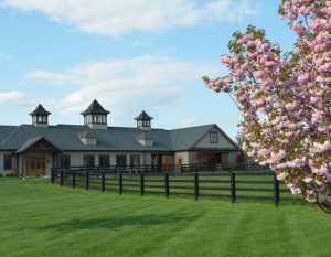 Select Breeders Services