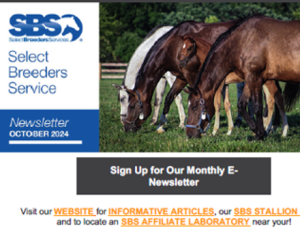 Select Breeders Services