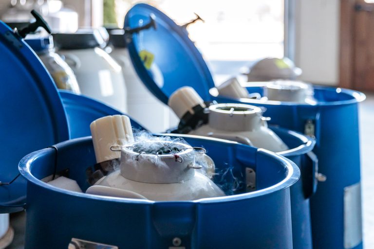 Select Breeders Services