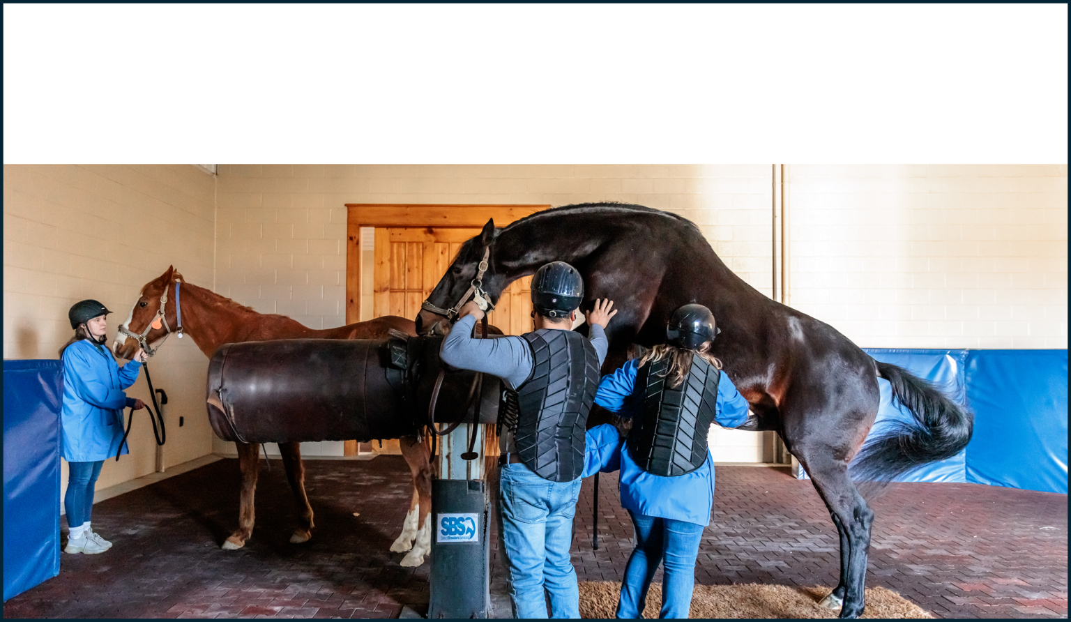 Stallion Services – Select Breeders Services